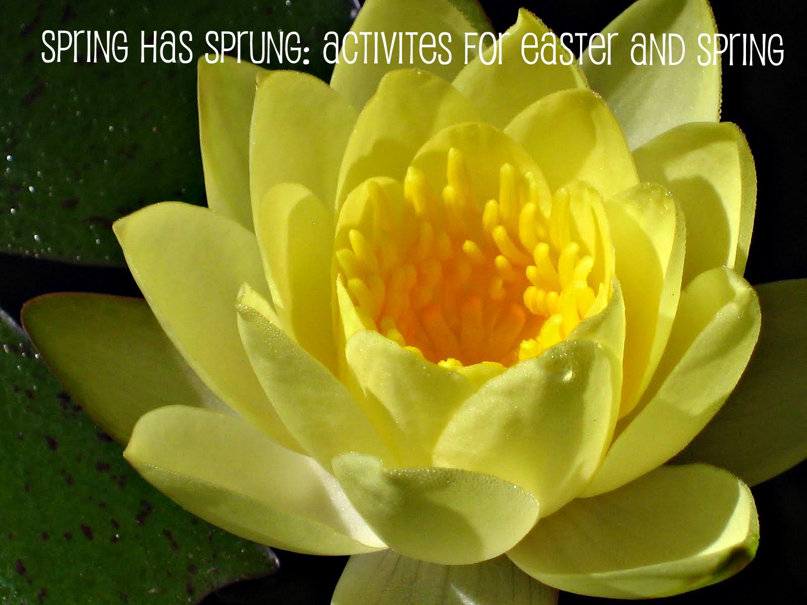 Messy Kids: Spring Has Sprung: Activities for the Greenest of Seasons