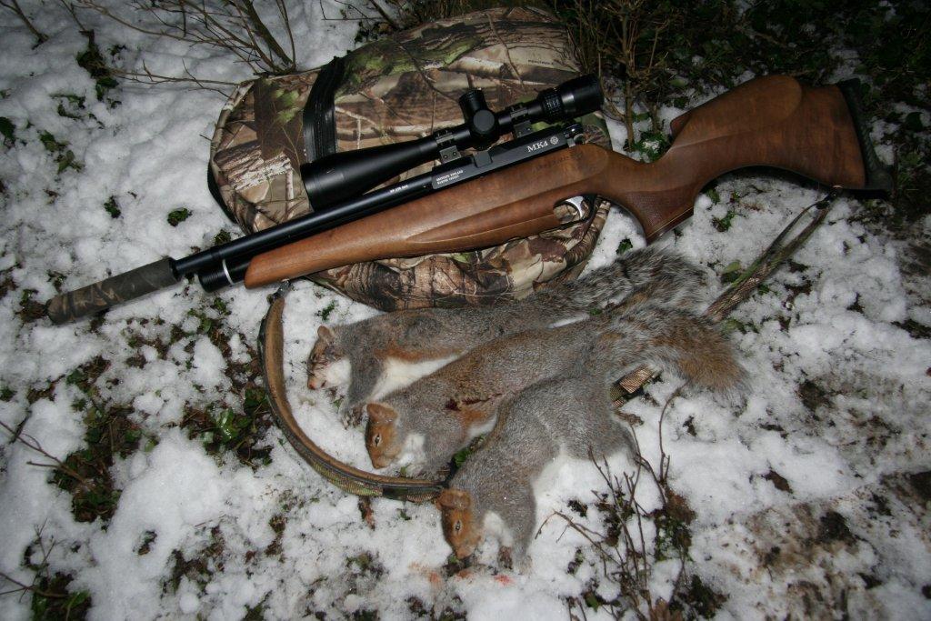 Mat Manning's Air Rifle Hunting: Squirrel shooting in the snow