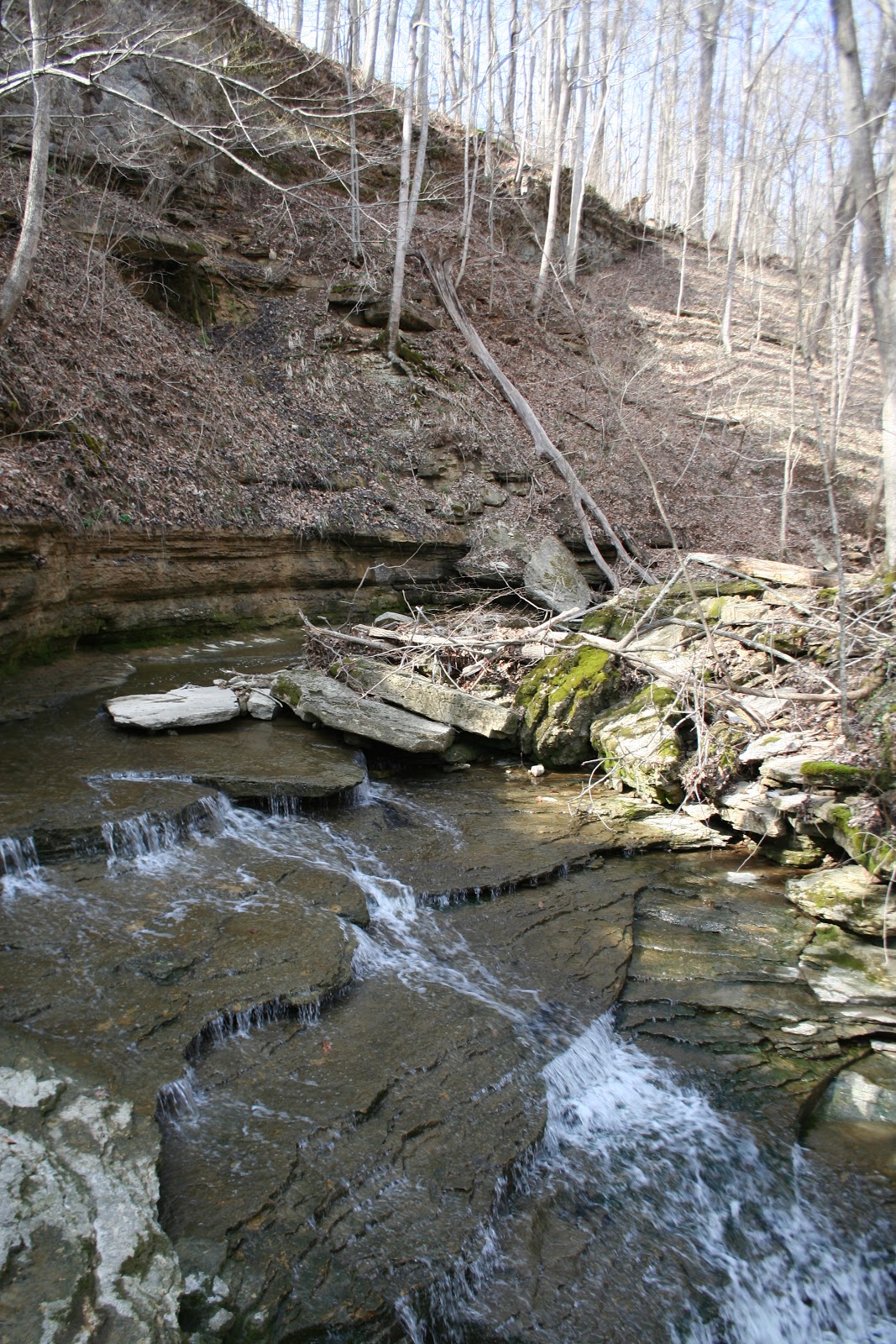Clifty Falls State Park, Madison, IN: Trail 7 (Big & Little Clifty ...