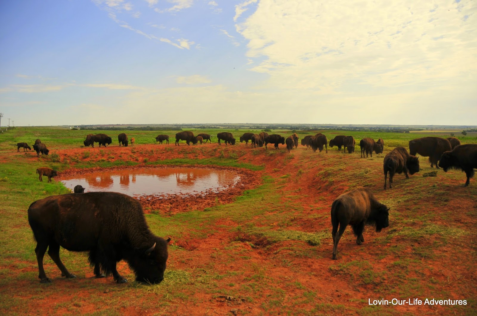 Lovin-Our-Life Adventures: Foss Lake State Park, Oklahoma