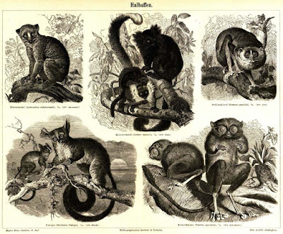 Discovering Darwin: 2016