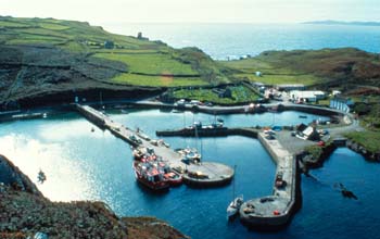 Dublin Library Diva: Cape Clear Storytelling Festival