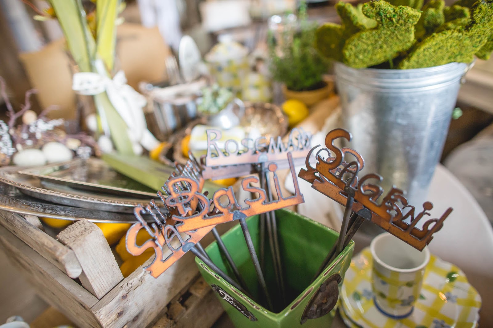 Junkyard Jezebel: Beyond The Garden Gate