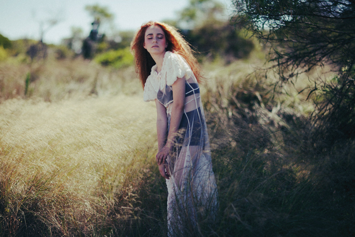 glittering heads dream.: golden bird of the sun.