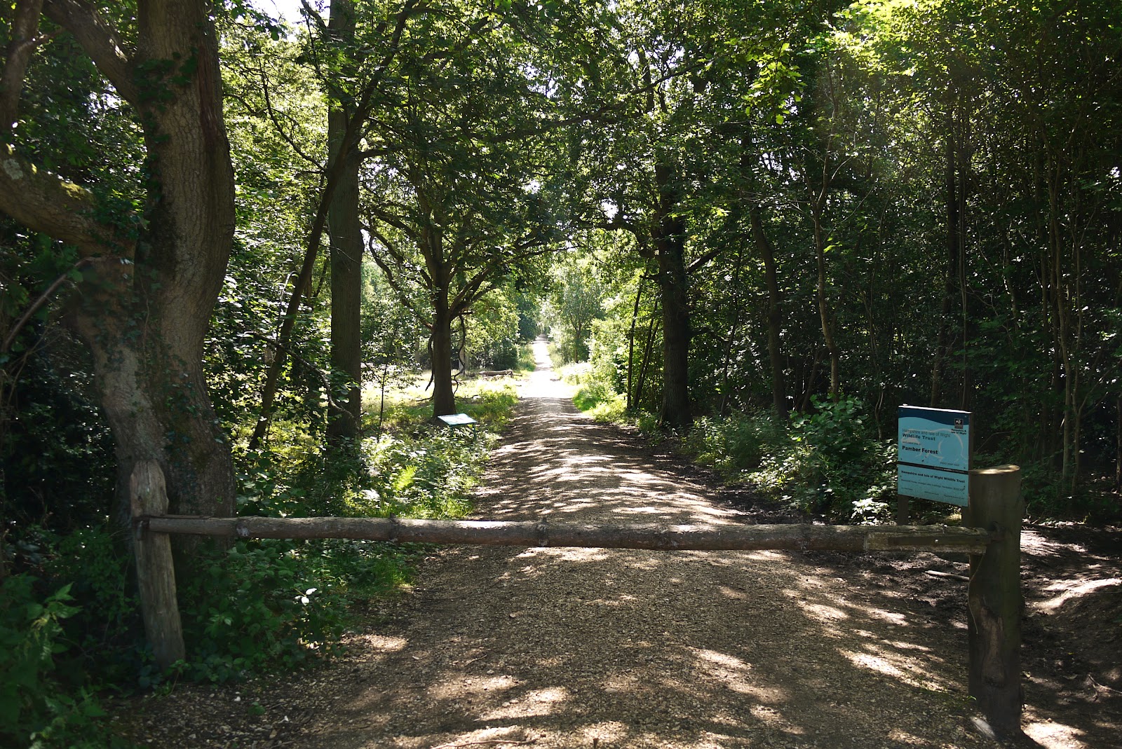 Walking in the country: Pamber Forest