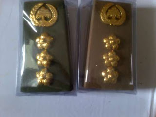 SMP NEGERI 1 KEDOKANBUNDER: Tanda Pangkat ASN PNS 2015