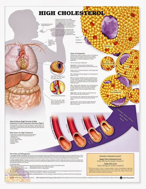 Article Cosmos: What is Cholesterol? Causes, Levels and Foods
