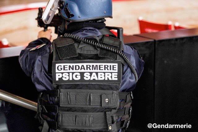 Gsg9 1/87 Unité spéciale: PSIG Sabre