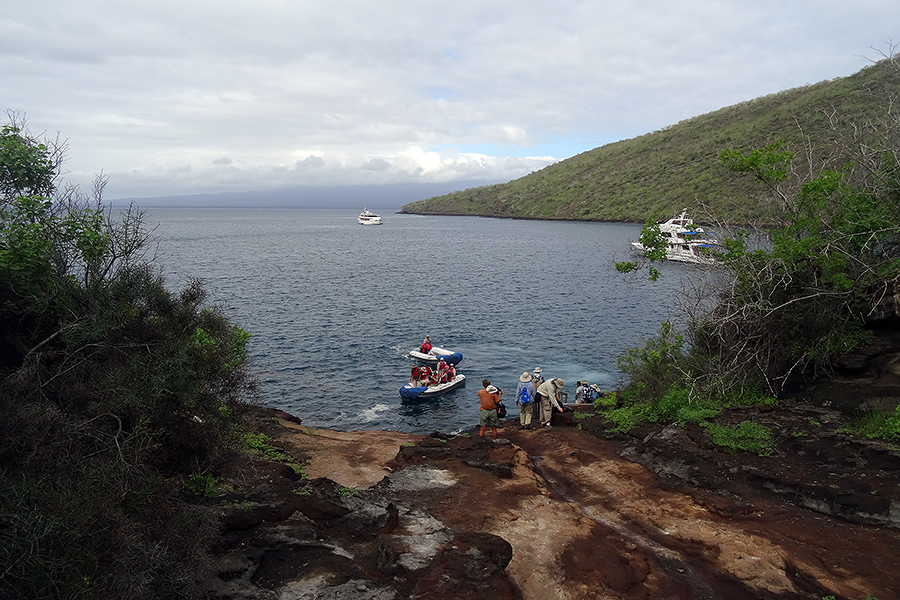 A passion for birds...: Galápagos Day 6 (morning) - Tagus Cove, Isla ...