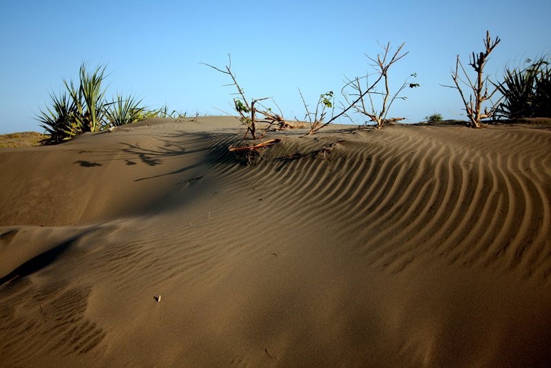 TIPE - TIPE BENTANG ALAM
