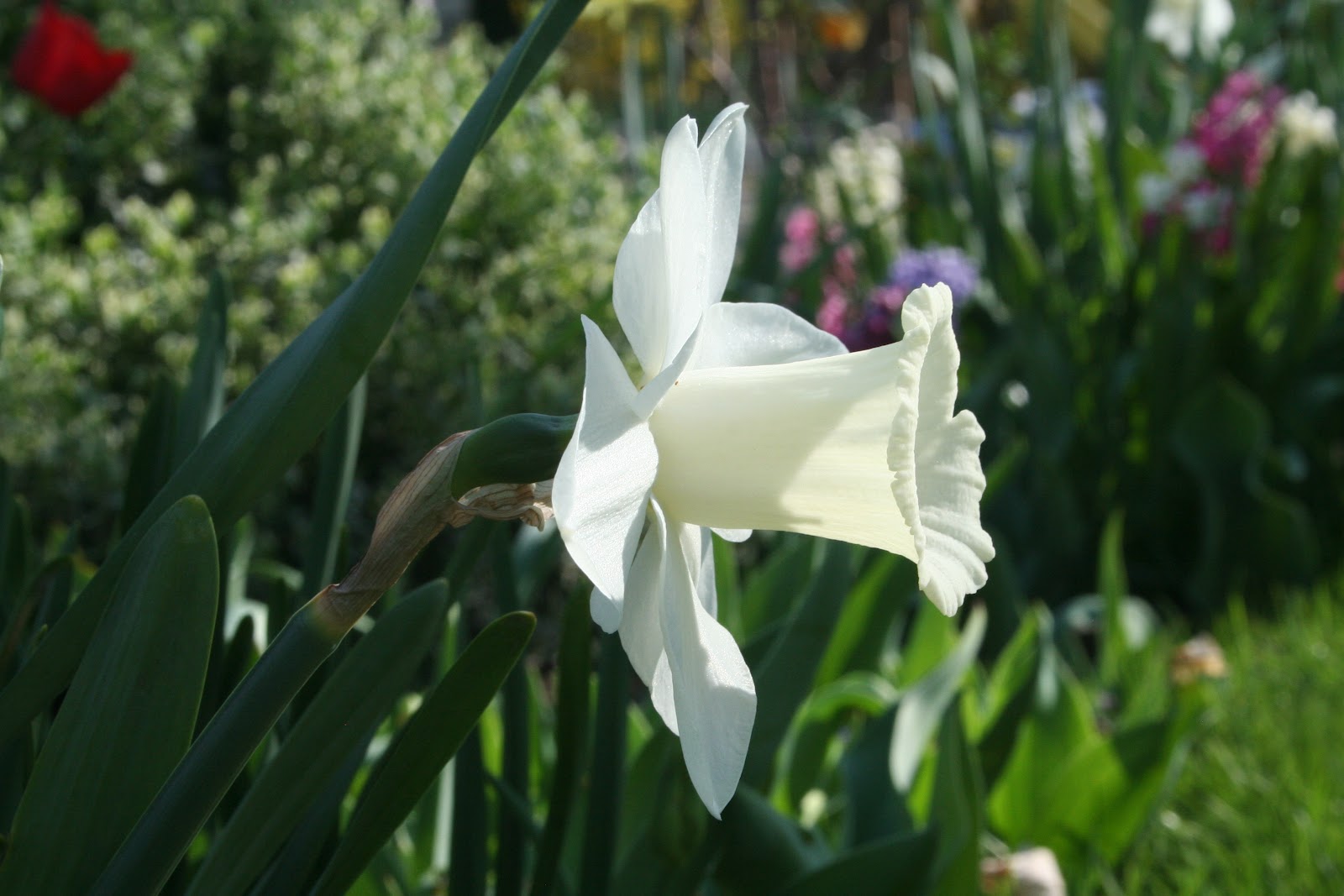 Gardens of Earthly Pleasures