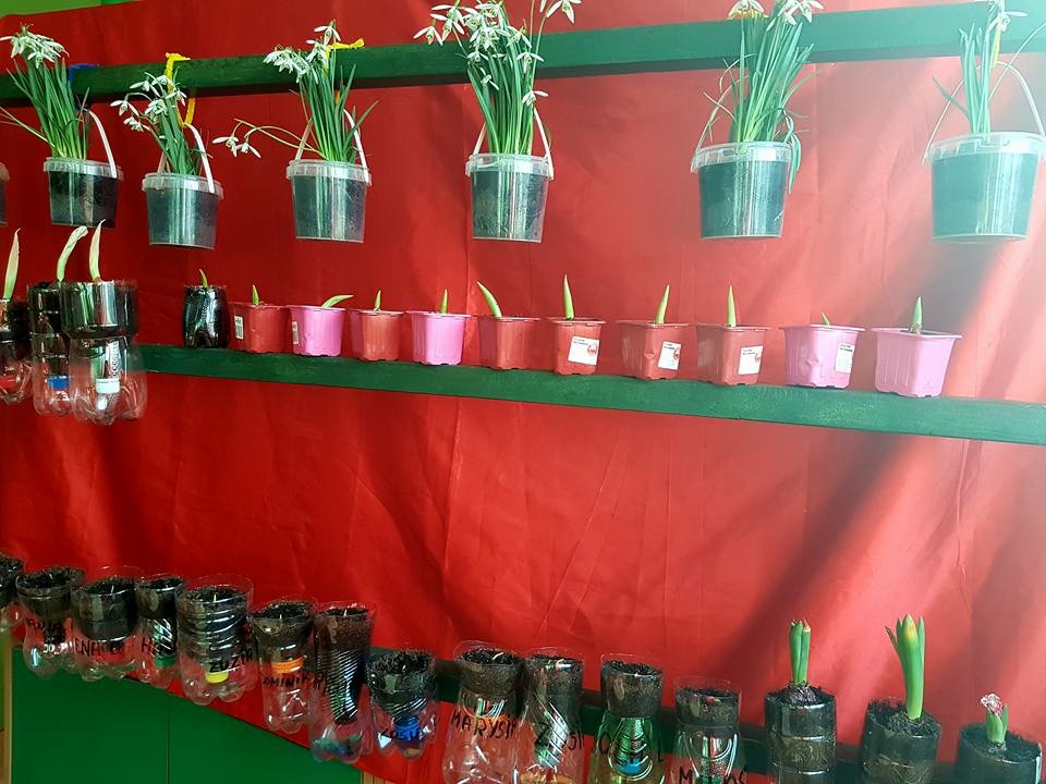 RECURSOS Y ACTIVIDADES PARA EDUCACIÓN INFANTIL: LAS PLANTAS