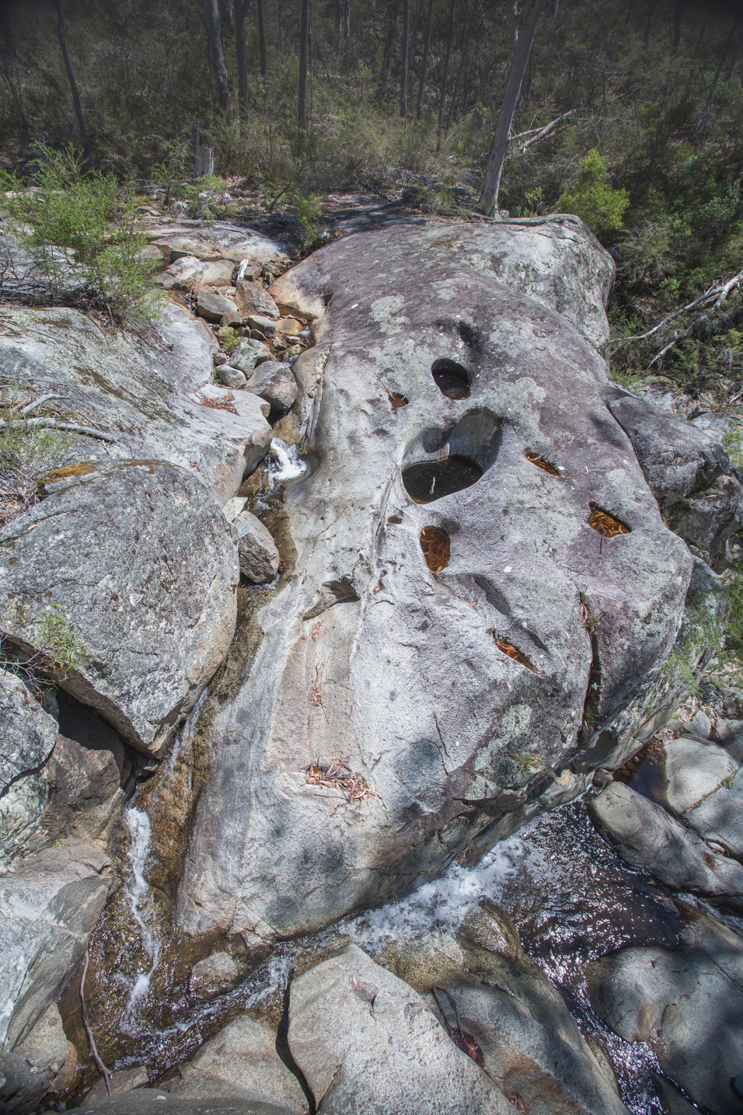 Far South Coast Basin Falls (Gabo Island - Tuross Heads)