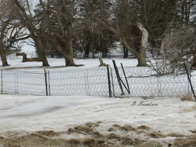 Grandma Barbs This and That: Weird Wonky Fence
