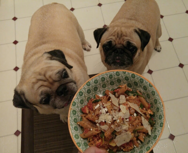 Grubbin' Pugs
