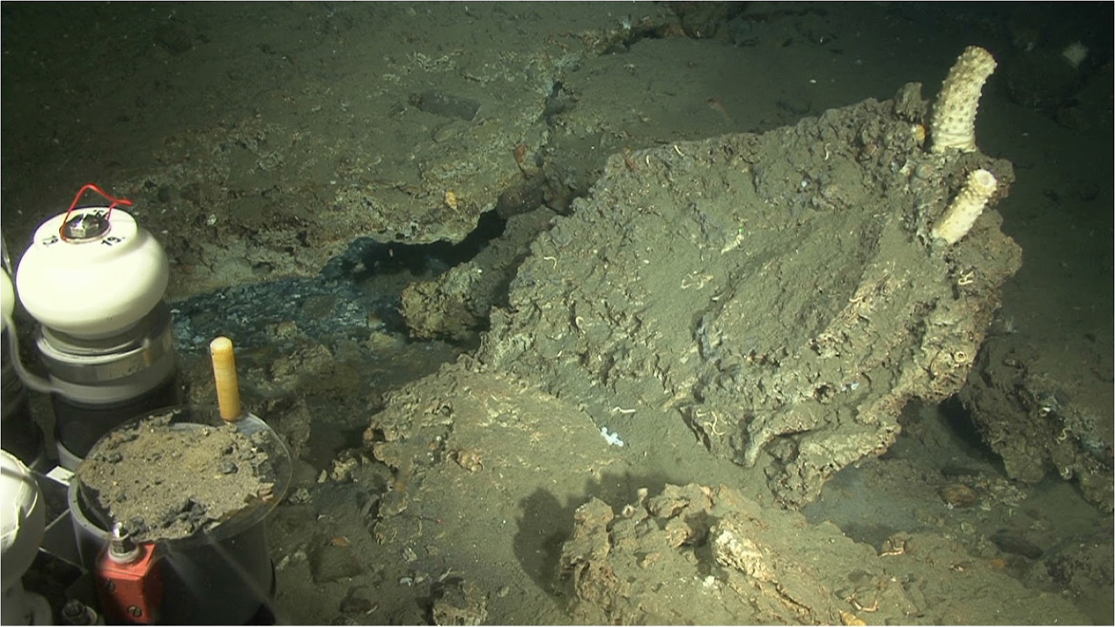 New methane organisms discovered - Geology In