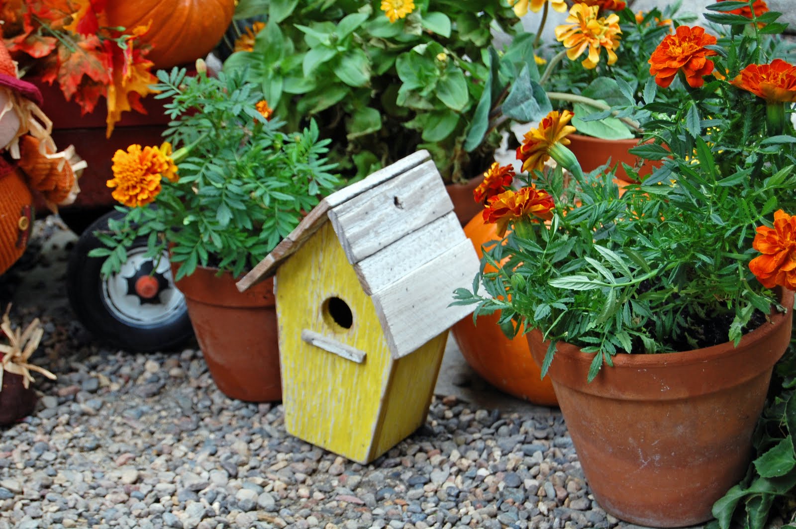 Happy Fall ~ Great Beautiful Garden