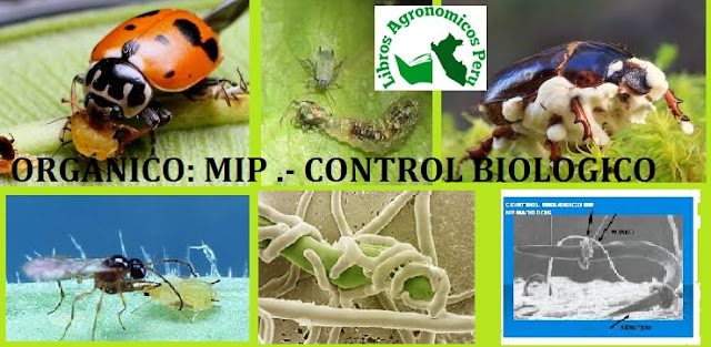 ORGANICO: MIP .- CONTROL BIOLOGICO
