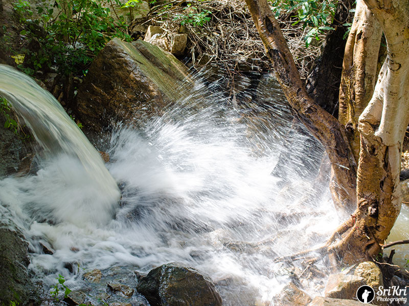 Panchapalli Dam - A weekend getaway | Travel Enthusiasts
