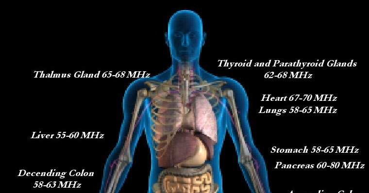 Fertility Biocenter: Bioresonance: A Wise Technology for the Early ...