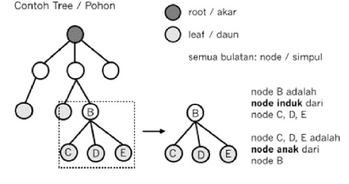 OOP: TREE (Pohon)