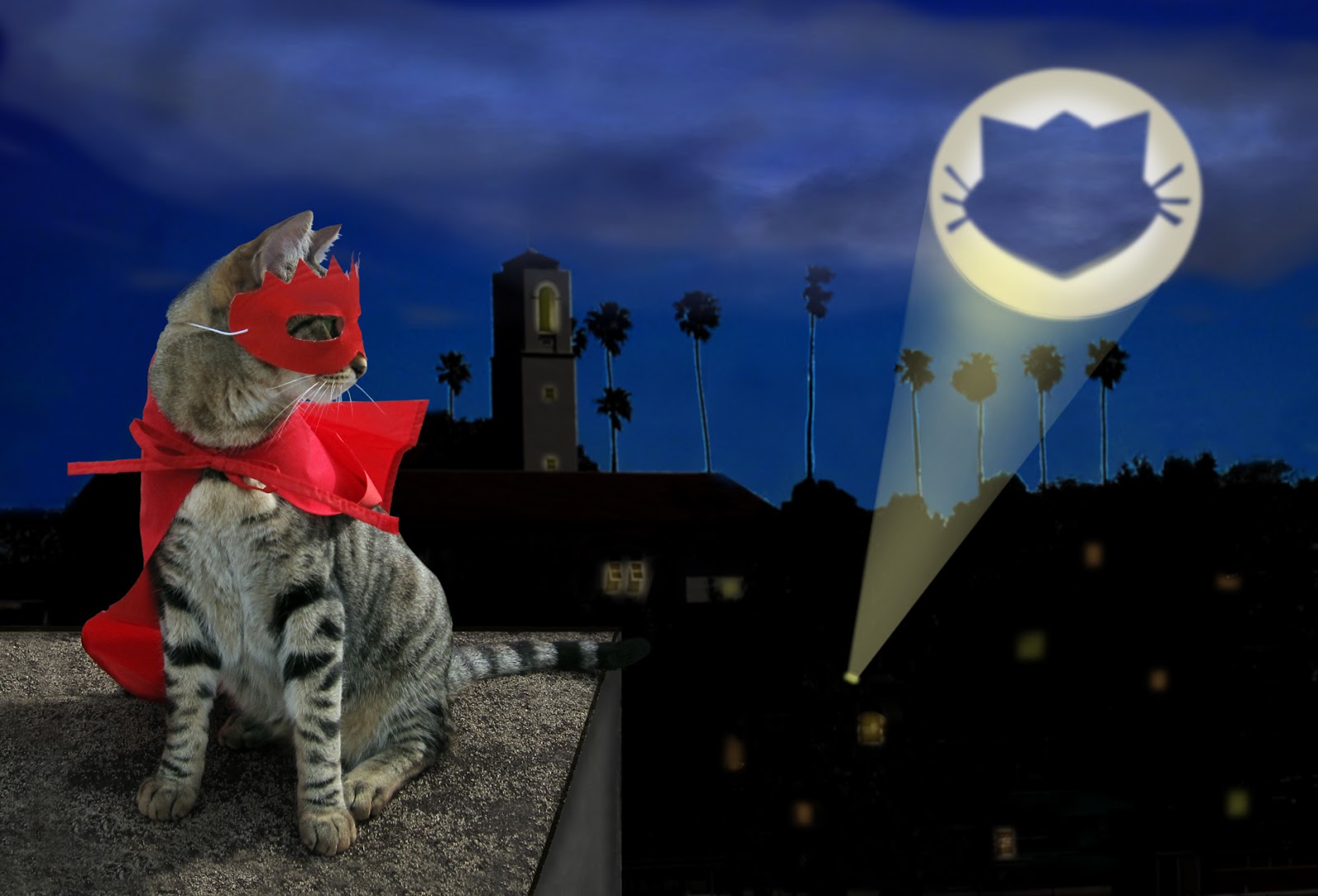 Stanley and Peepers Blog