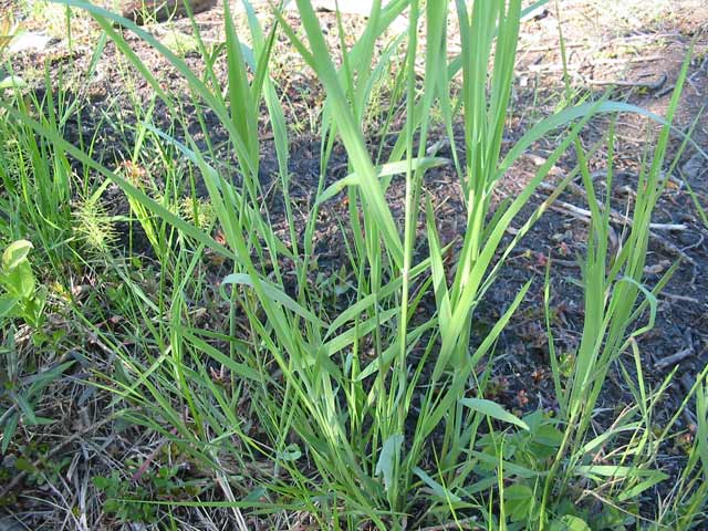 Off-Grid in Alaska: June 2013