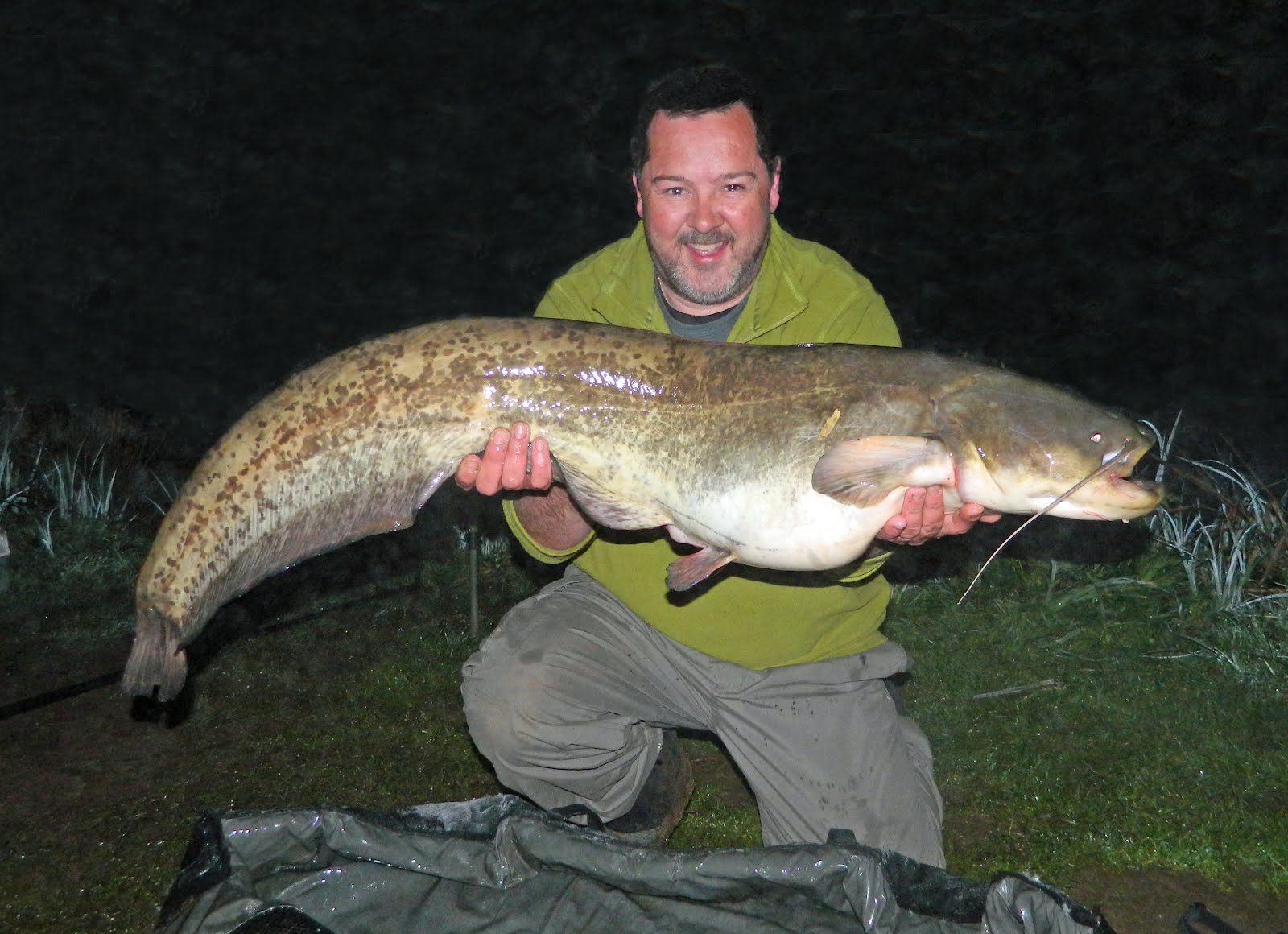 Kevs blog: Catfish!