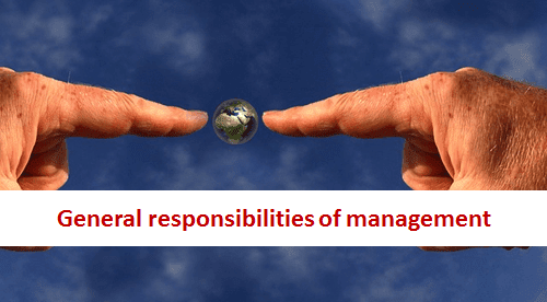 Business Intelligence Watching: General responsibilities of management