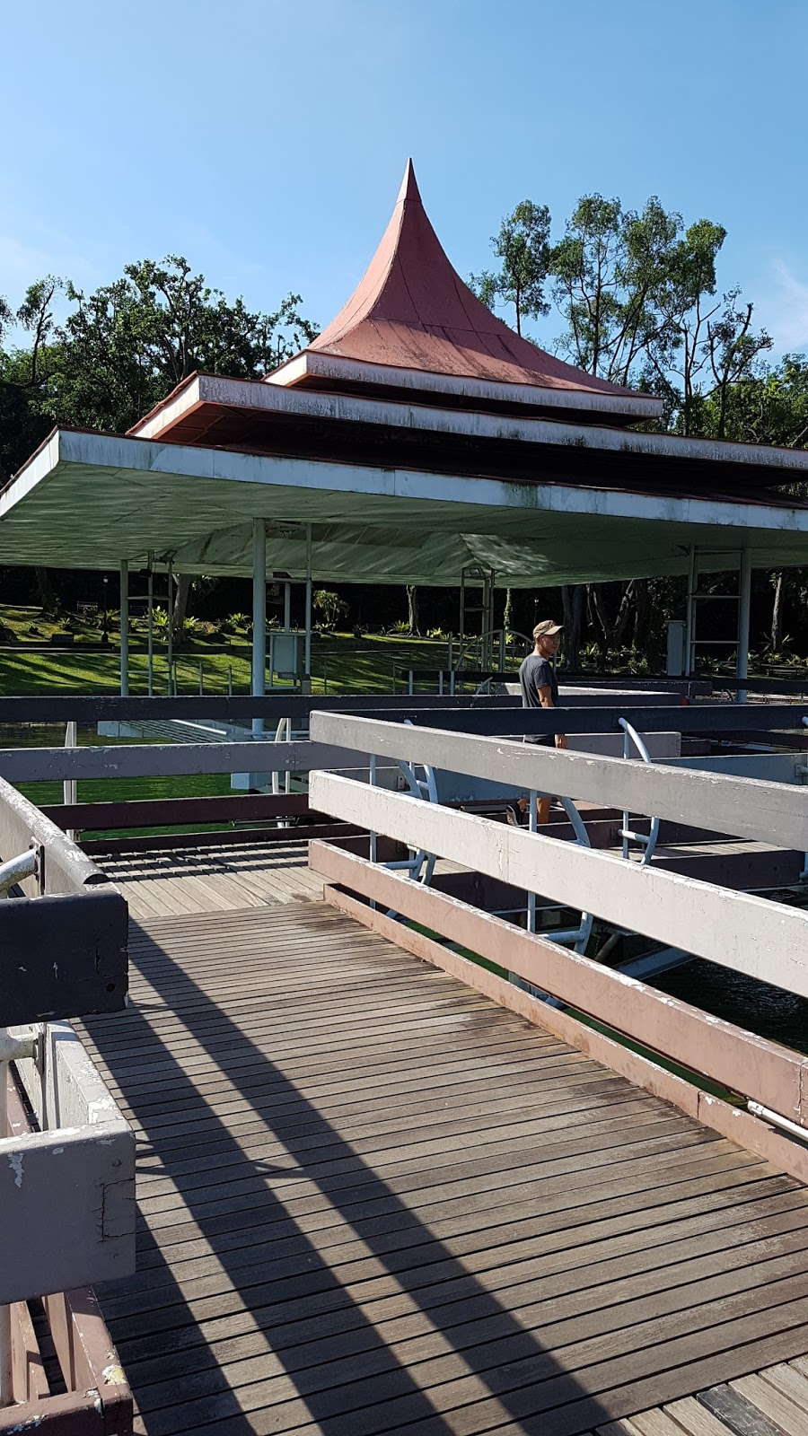 Walking Trail - MacRitchie Reservoir