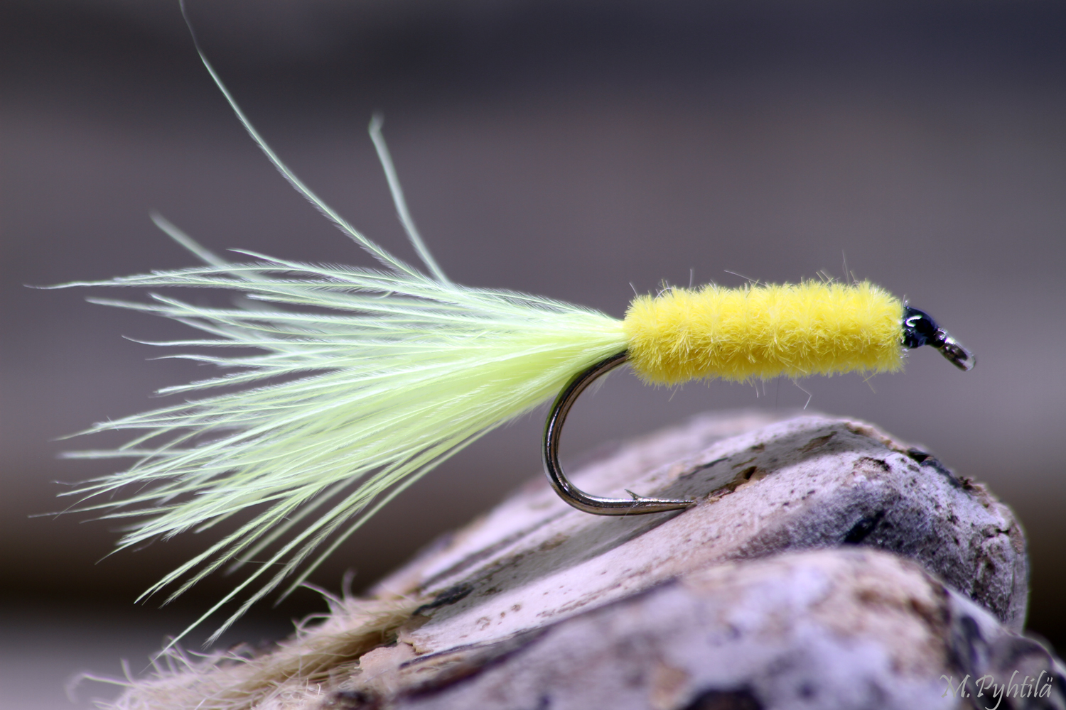 Päiväntasaajan Perhokerho: Dog Nobbler, Woolly Bugger ja muita "liitsejä"