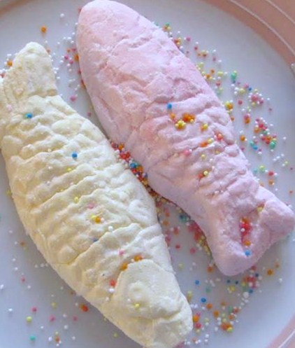 The Bundu Beatles: 2. Mishap in Sinoia