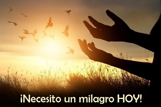 SÓLO PARA NOSOTROS VIVEN LAS COSAS BAJO EL SOL. SÓLO PARA NOSOTROS VIVEN LAS COSAS BAJO EL SOL.