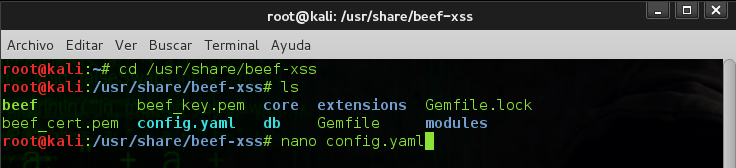 BeEF Browser Exploitation Framework ~ [In]Seguridad Informática