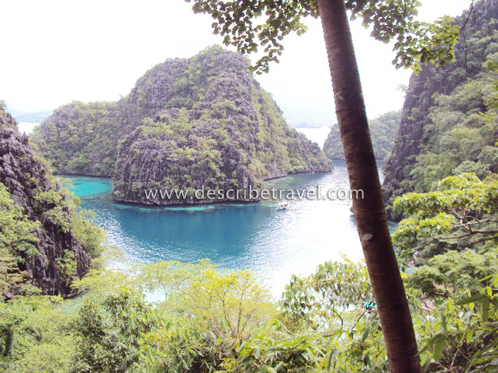 BEACHELOR.com: Kayangan Lake - Coron's Cleanest Lake