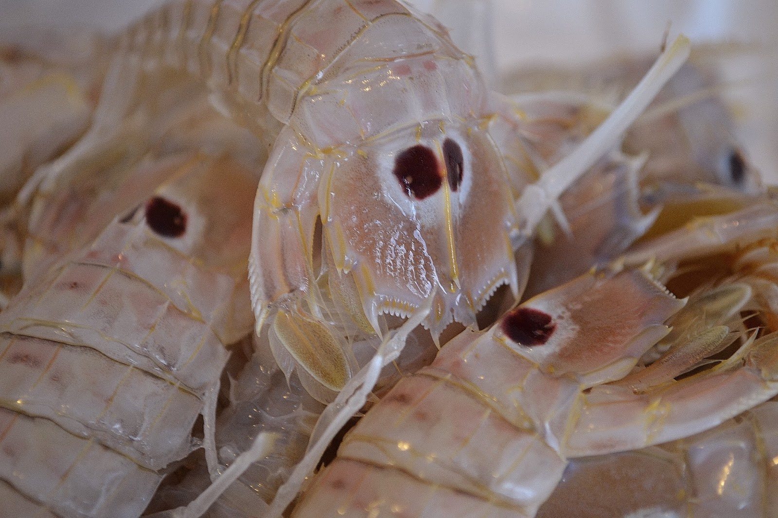 La creatività e i suoi colori: Ricetta tipica delle Marche: canocchie ...