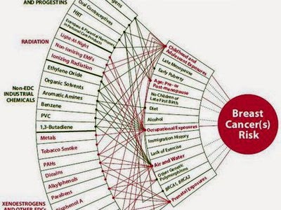 Breast Cancer: risk factors, symptoms and prevention. | SMART Patients