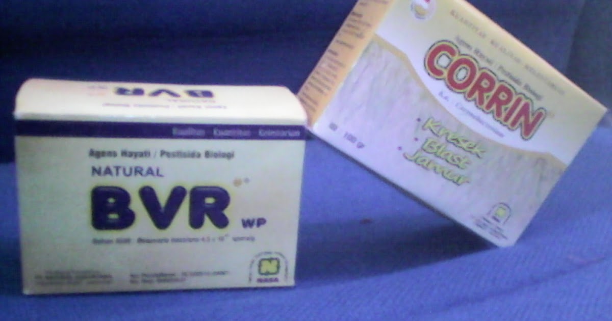 CORRIN DAN B V R PESTISIDA ORGANIK YANG MAMPU MENGENDALIKAN HAMA PADA ...