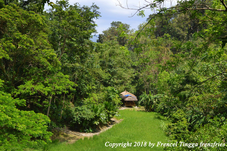 Frenz Fries: Lotus Valley Farm, San Juan La Union