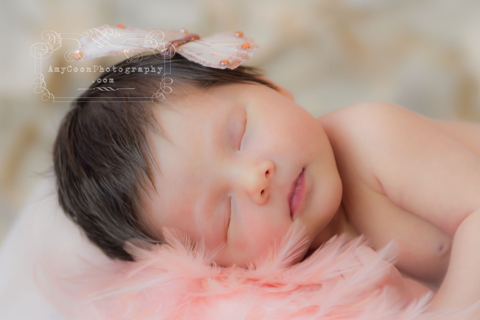 Amy Coon Photography