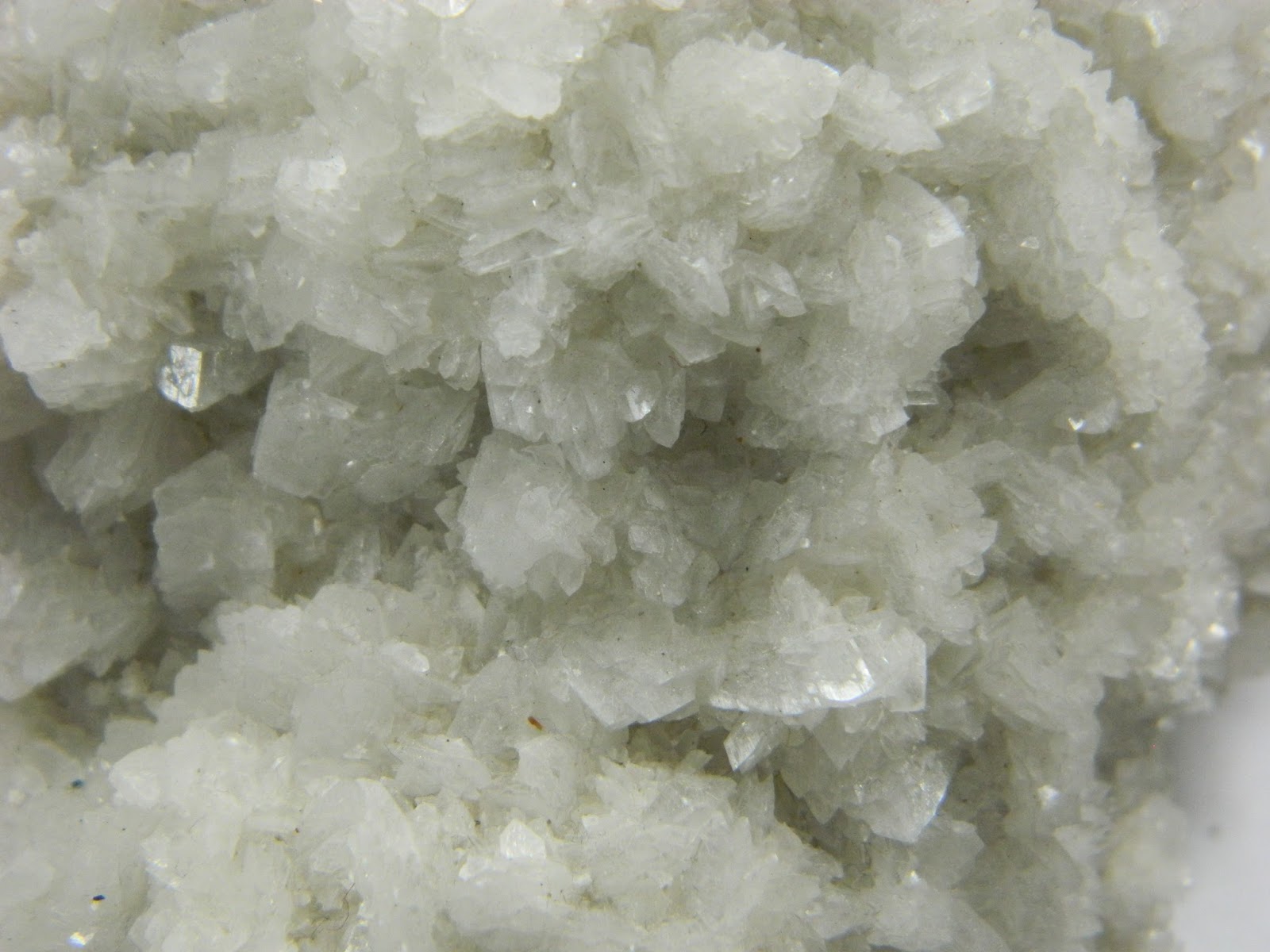 CSMS GEOLOGY POST: December 2015