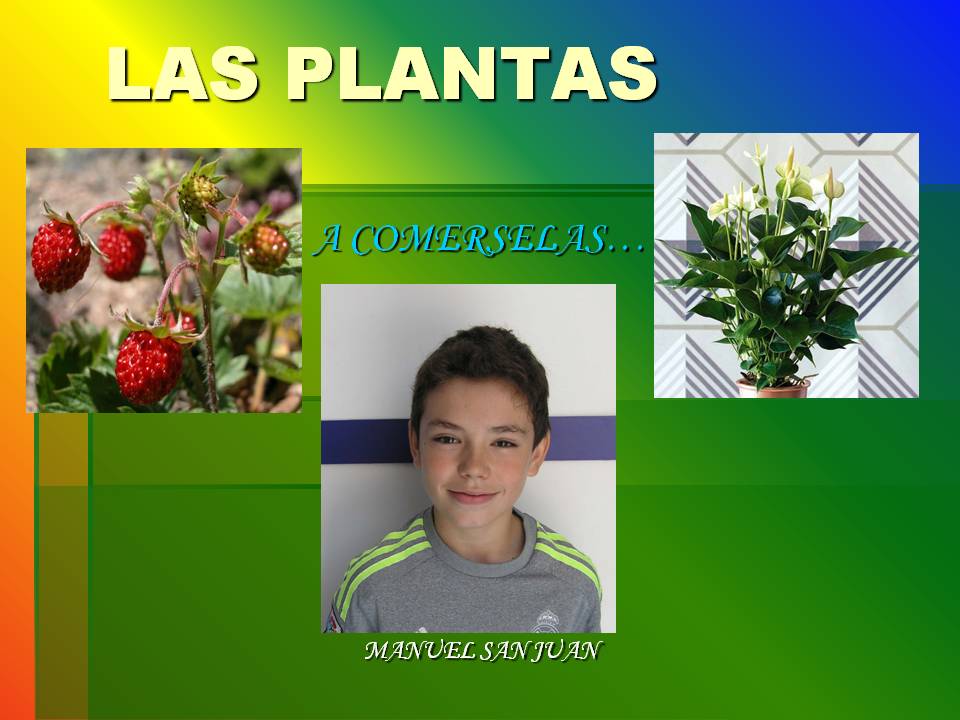 Cosas de niños para la escuela: TODO SOBRE LAS PLANTAS