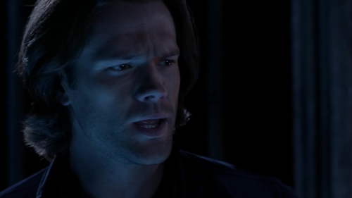 About the Author - Lisa Macklem