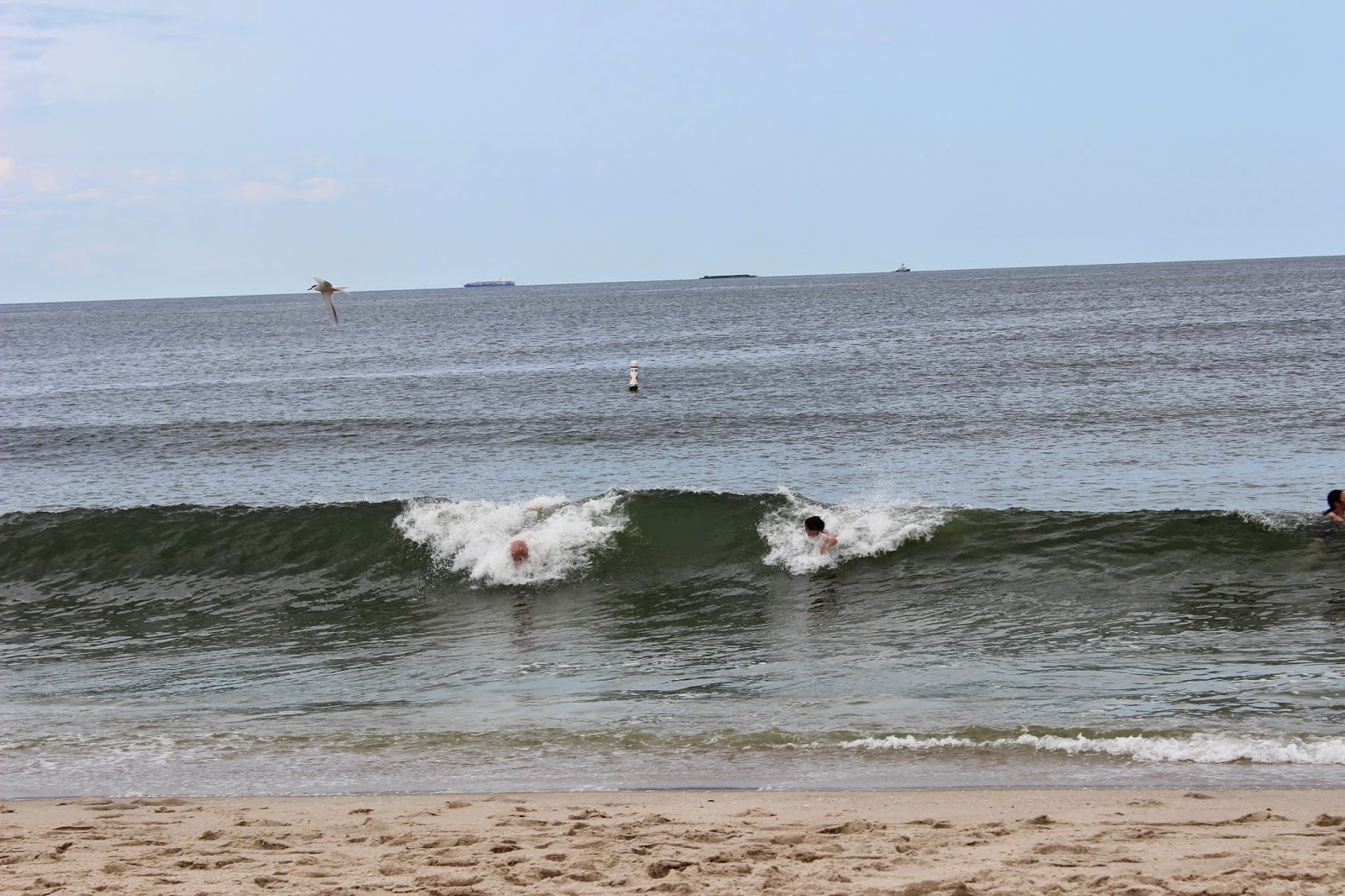 Dottie's Homeschool Universe: Sandy Hook - History, Science AND Phys Ed