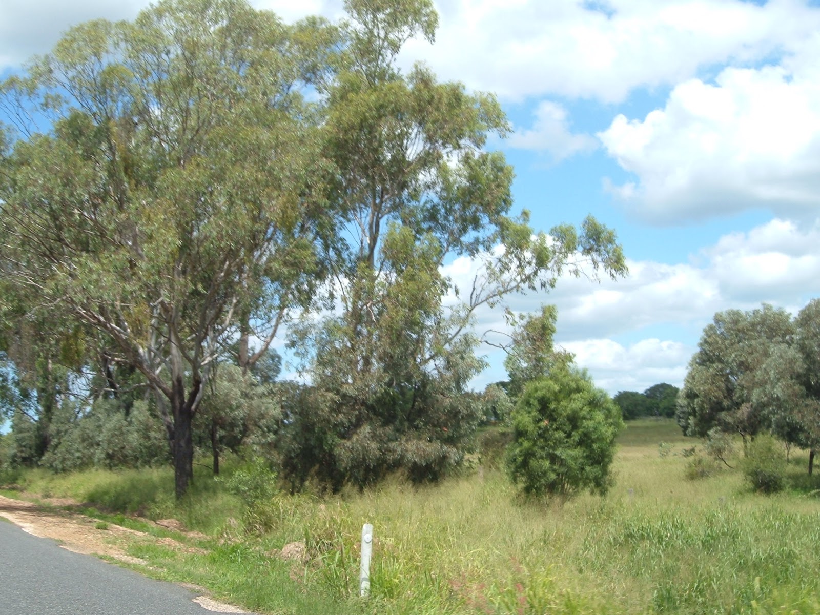 450 million years of Port Alma Fossil Heritage Central Queensland