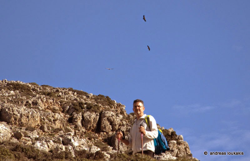 ΟΡΕΙΒΑΤΙΚΟΣ ΣΥΛΛΟΓΟΣ ΑΓΙΟΥ ΝΙΚΟΛΑΟΥ (1ος κύκλος): ΚΟΡΥΦΗ ΣΕΛΕΝΑΣ ...