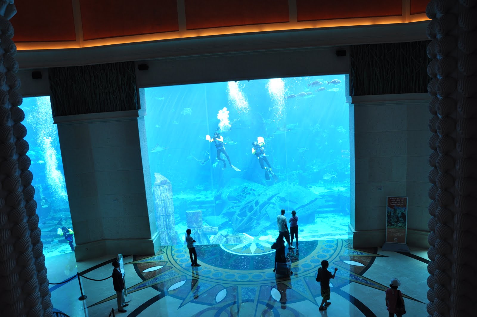 Jenan Jamal: Atlantis Aquarium