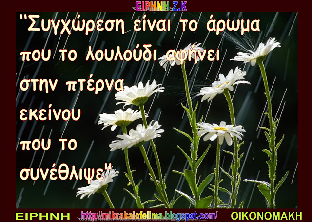 Η ΕΝΟΡΙΑ ΜΑΣ: Ὅταν συγχωρεῖς, ἄφησε ὄλη τήν ὀργή, ἐξαφάνισε τήν πληγή