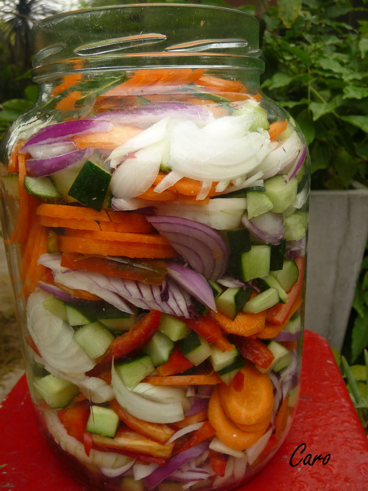 Caro Pimiento: Verduras fermentadas