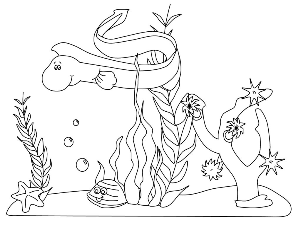 Under The Sea Coloring Pages For Preschool Coloring Pages